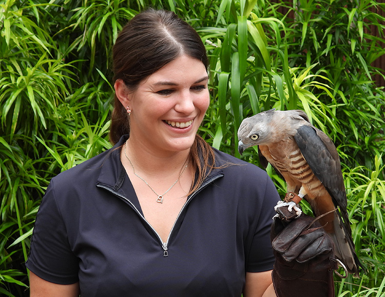 Hawk Walk Encounter - Territory Wildlife Park